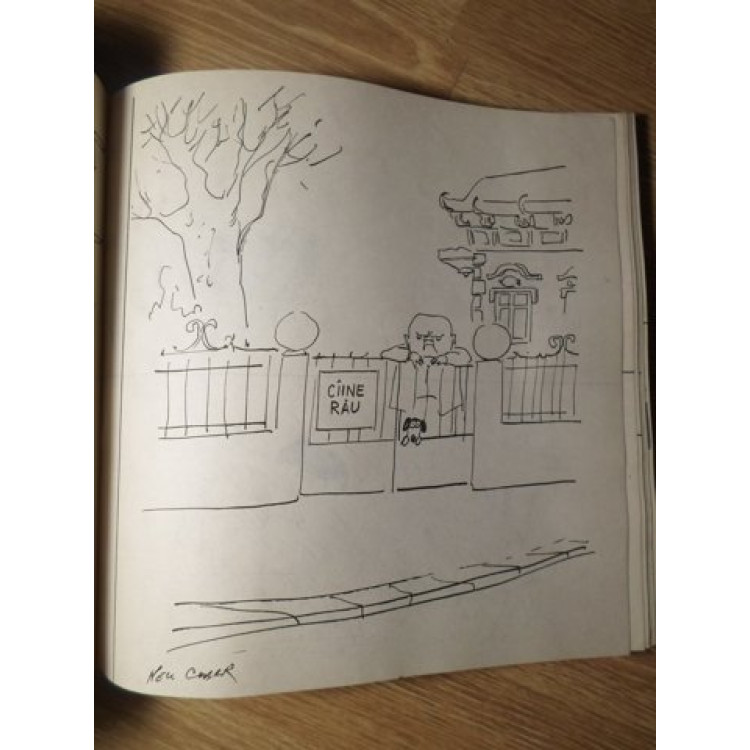 Cartea DIN HAZ IN HAZ. CIRCA 300 DESENE scrisa de ADRIAN ANDRONIC ...