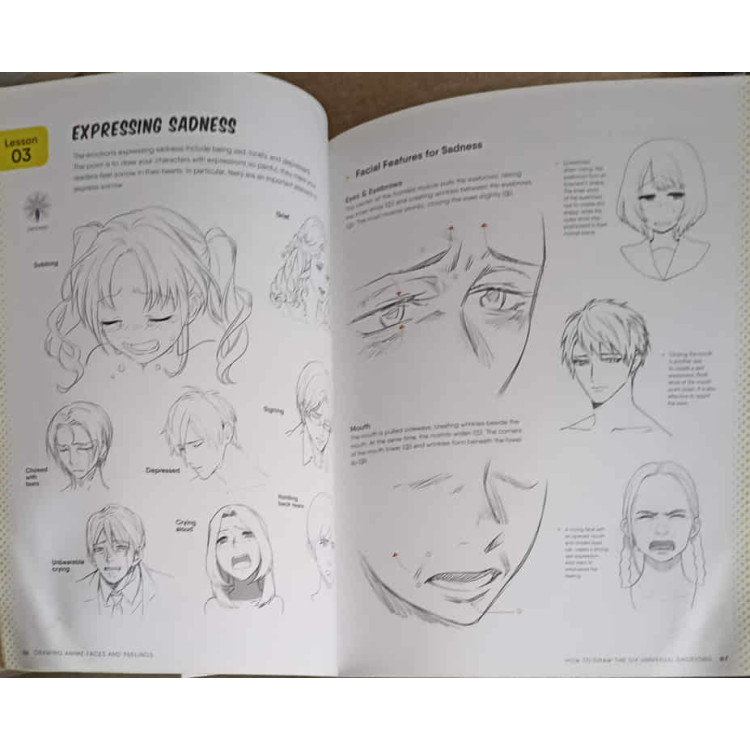 Cartea DRAWING ANIME FACES AND FEELINGS scrisa de STUDIO HARD DELUXE ...