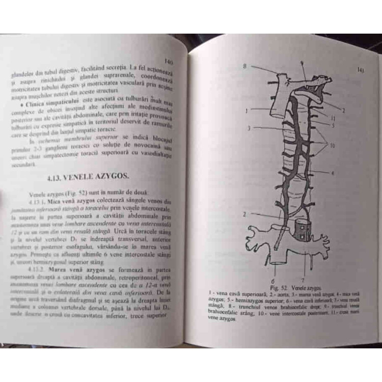 Cartea ANATOMIA CLINICA A TRUNCHIULUI scrisa de CONSTANTIN FATU, DOINA ...