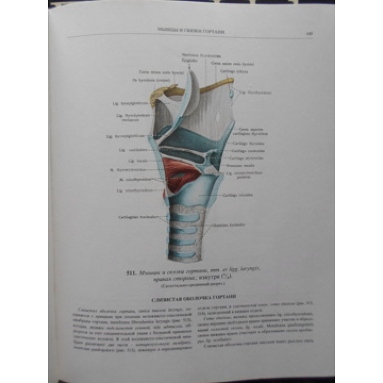 Cartea ATLAS DE ANATOMIE UMANA VOL.2 ORGANE INTERNE (IN LIMBA RUSA ...