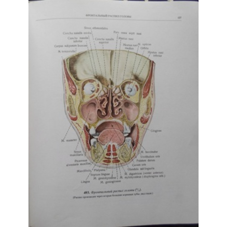 Cartea ATLAS DE ANATOMIE UMANA VOL.2 ORGANE INTERNE (IN LIMBA RUSA ...