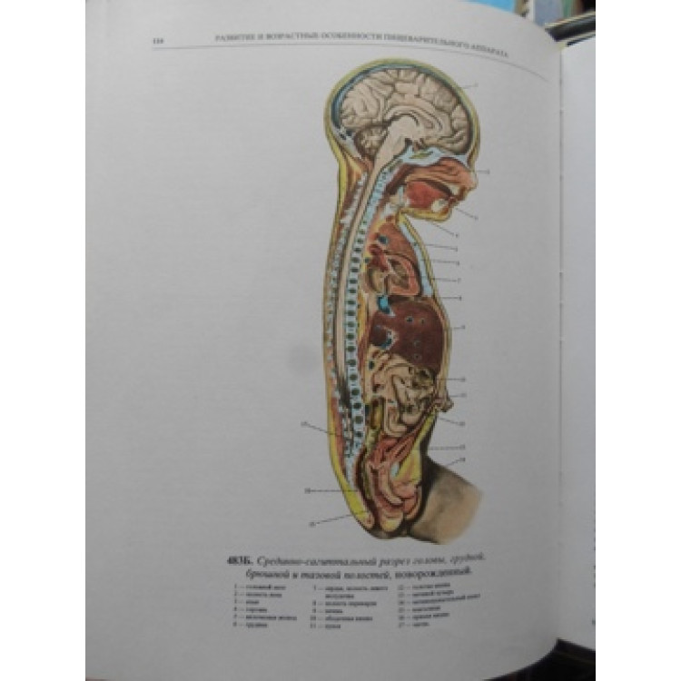 Cartea ATLAS DE ANATOMIE UMANA VOL.2 ORGANE INTERNE (IN LIMBA RUSA ...